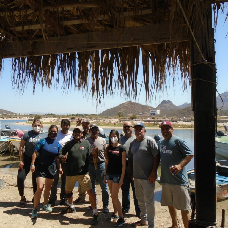 California’s cryptic angels - Save Our Seas Foundation