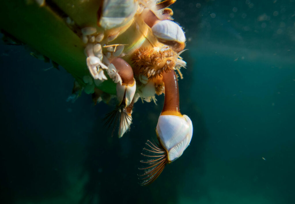 When you look deep into nature's secrets, your world just might start ...