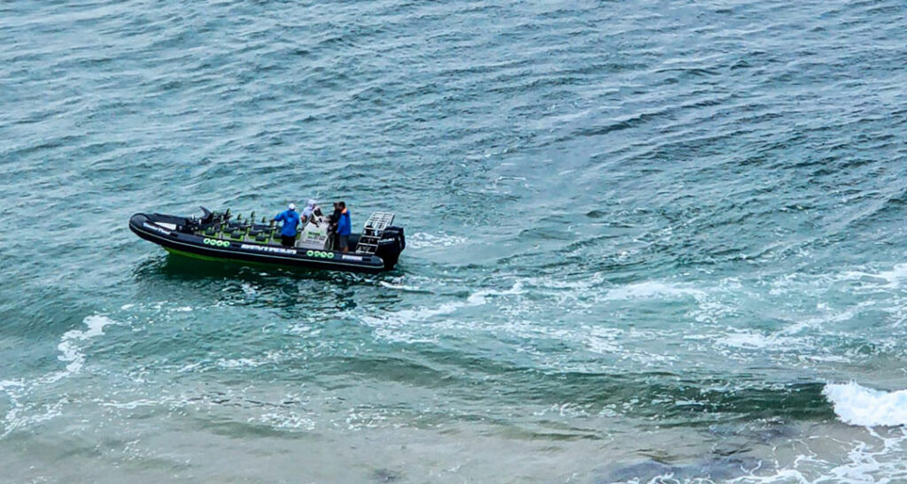 Sharks Spotters scout Plett for spotting potential - Save Our Seas ...