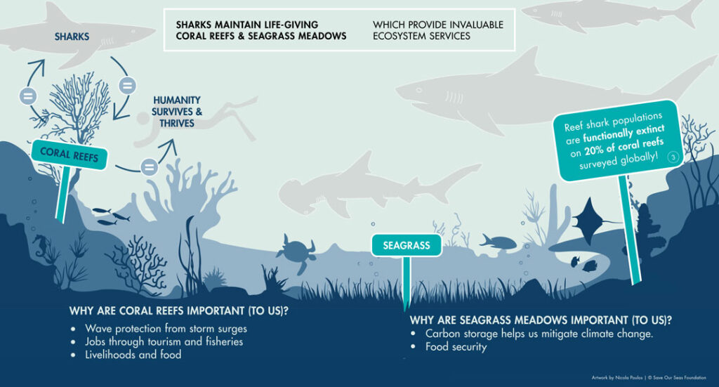 WOS_CITES_IG_1-sharks&ecosystemsweb - Save Our Seas Foundation