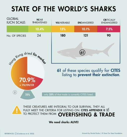 Saving sharks at CITES COP19 - Save Our Seas Foundation