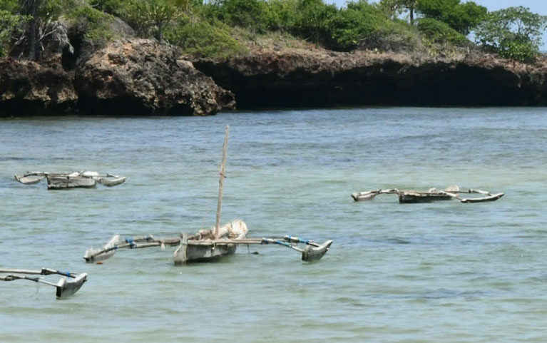 Connecting local fishers, their histories and the halavi guitarfish ...