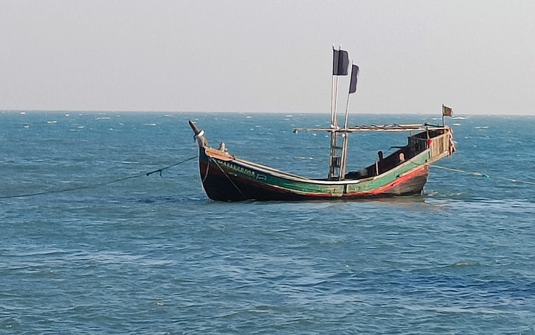 On a knife-edge: saving sharpnose guitarfish in the Bay of Bengal ...