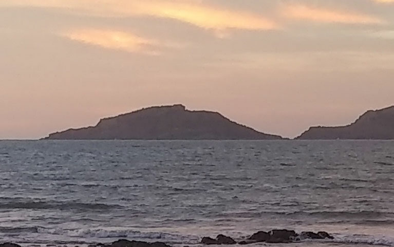 Going round in circles: clarifying the distribution of round stingrays ...