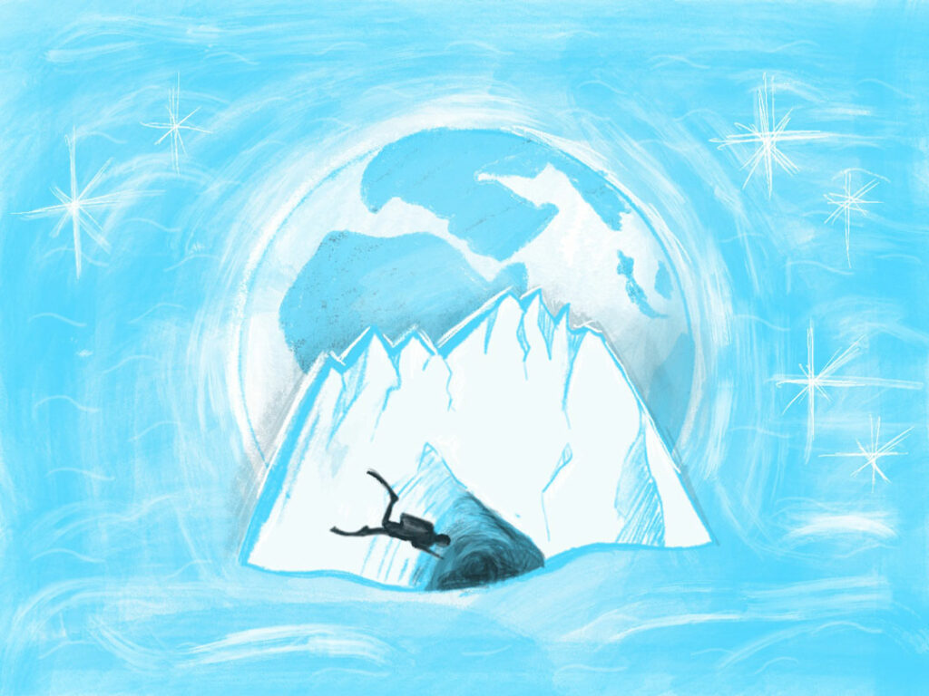 Our Finalists - Save Our Seas Foundation