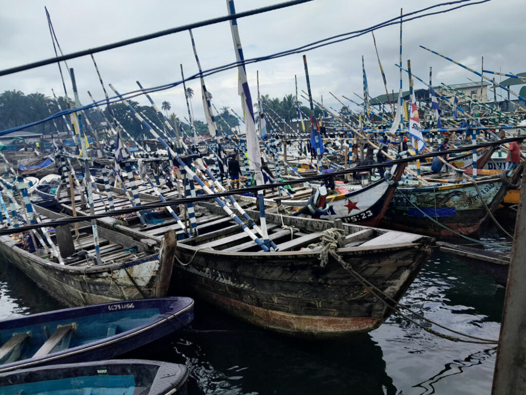 How sharks and rays became cultural icons in Cameroon - Save Our Seas ...