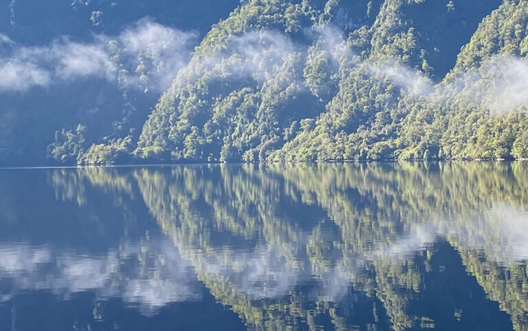 Climate change at the end of the earth: sevengill sharks in Fiordland, New Zealand - Save Our ...