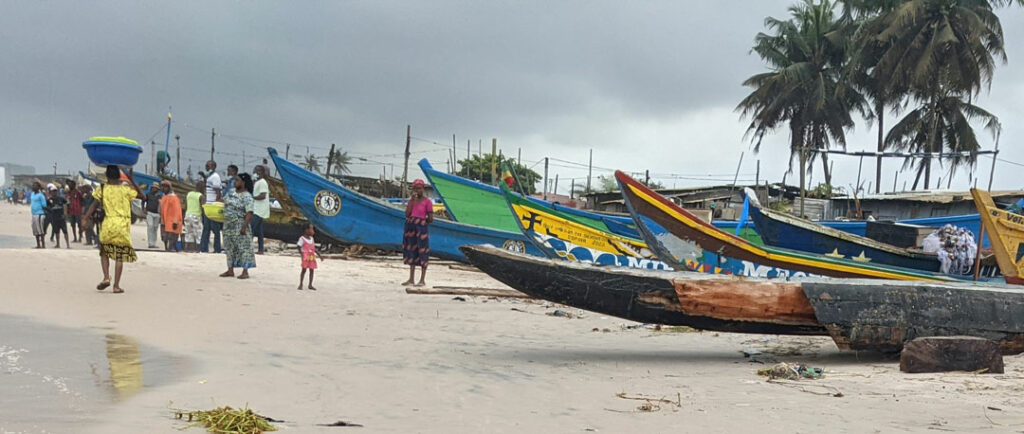 Shark and ray landings in the Republic of the Congo - Save Our Seas ...