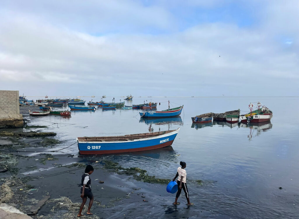 Finding the dried sharks of Angola - Save Our Seas Foundation