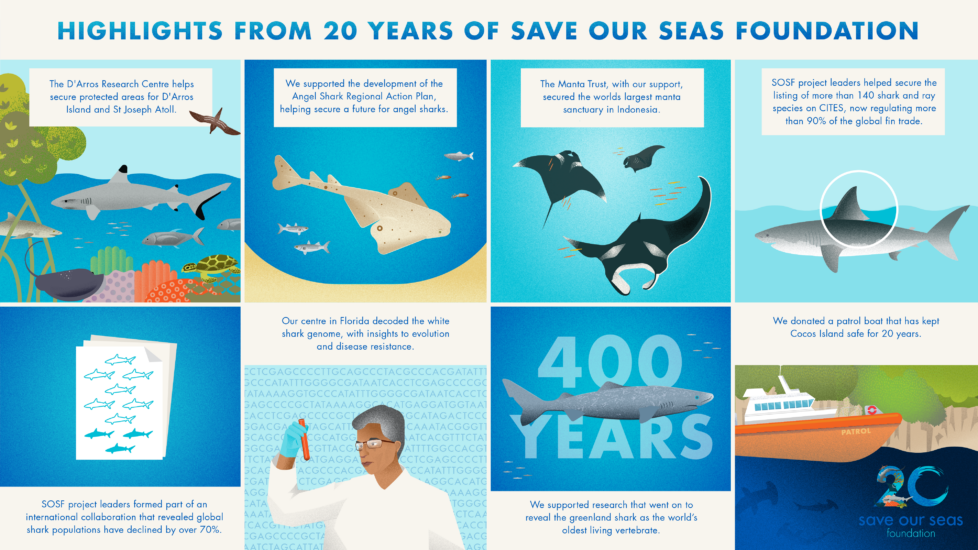 Achievements - Save Our Seas Foundation