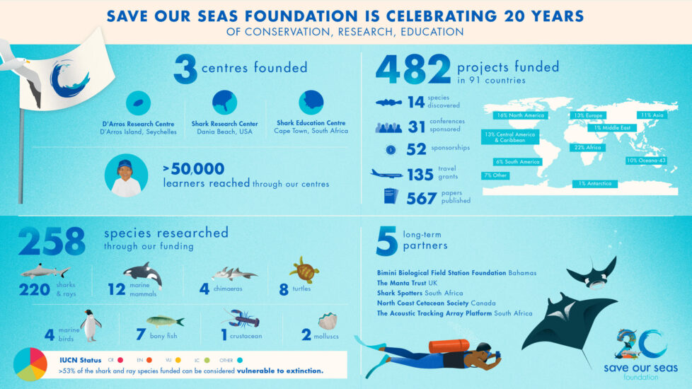 Celebrating 20 years of shark science and conservation - Save Our Seas ...