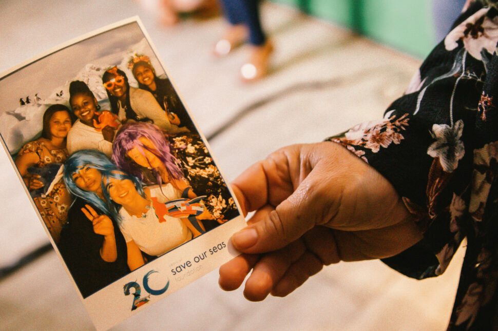 Celebrating 20 years of shark science and conservation - Save Our Seas ...