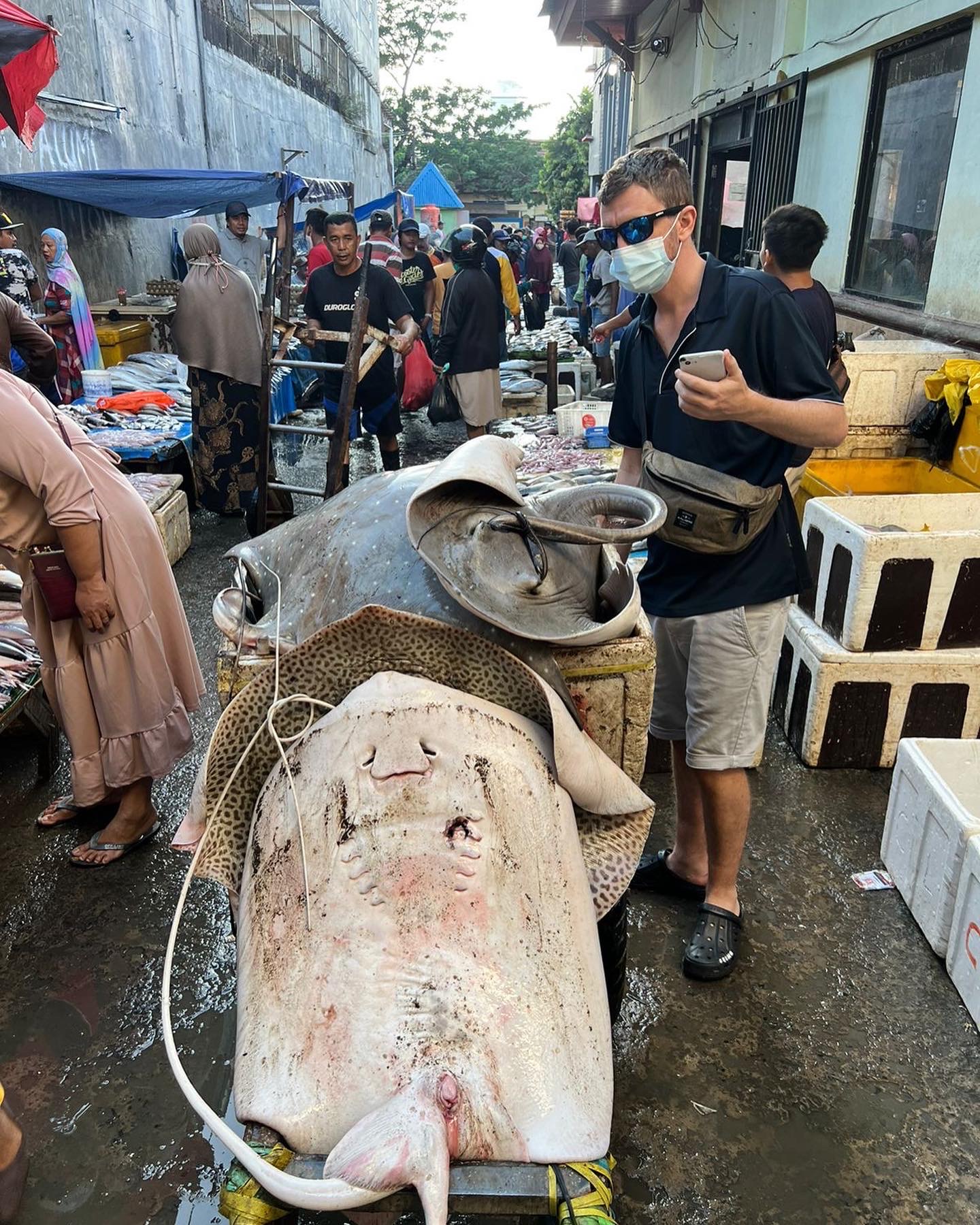 How to start a conservation research project - Save Our Seas Foundation