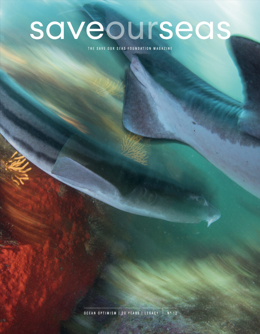 sosf-magazine-issue12-cover - Save Our Seas Foundation