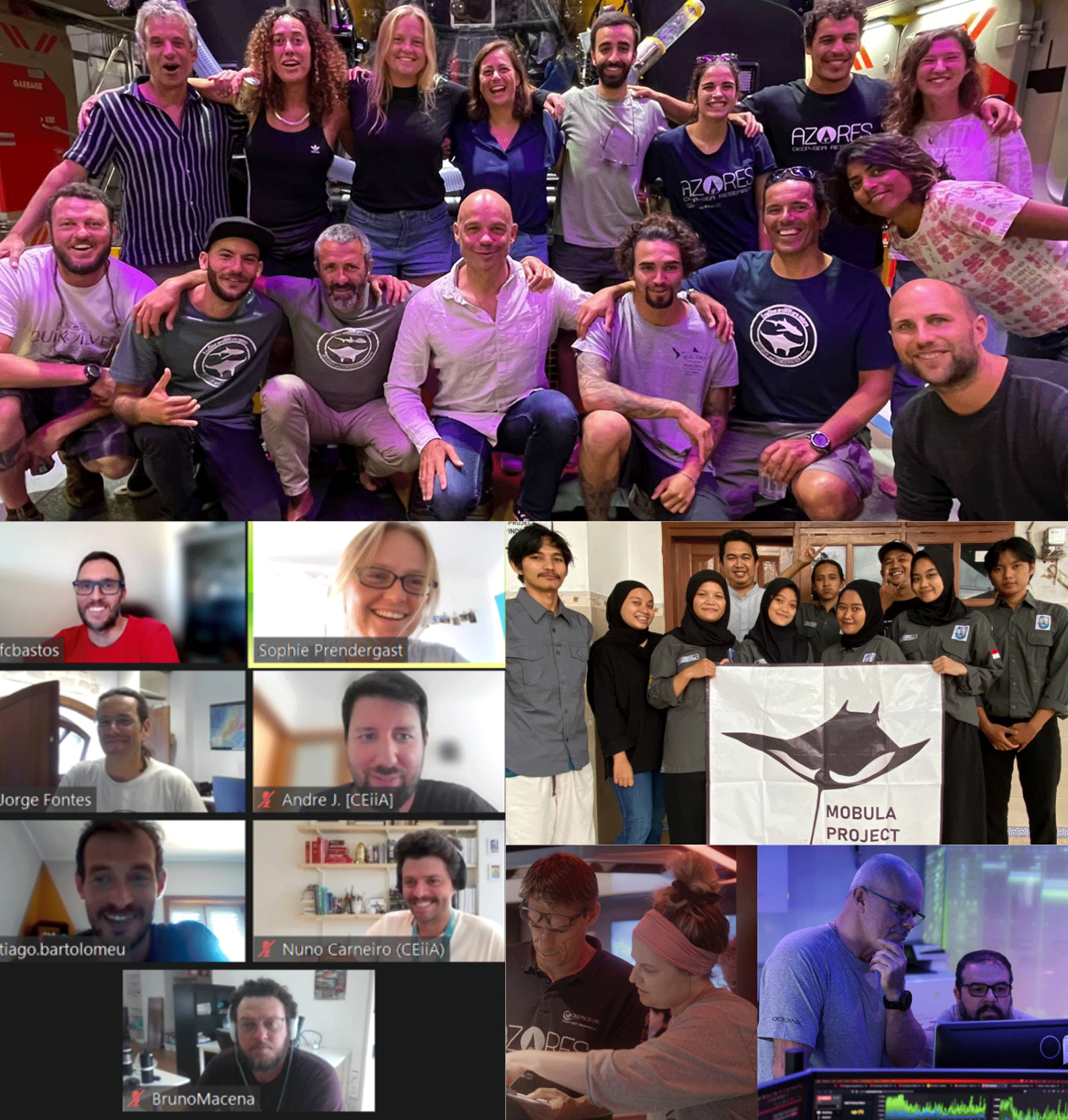 The Devil is in the Details - Save Our Seas Foundation