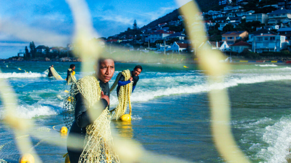 A Decade of Fish Hoek's Shark Exclusion Net - Save Our Seas Foundation