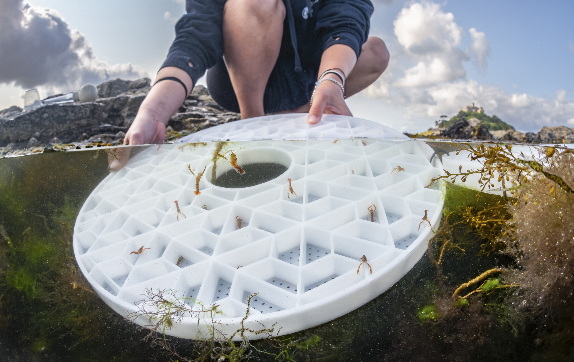 SOSF_MC_2 - Save Our Seas Foundation