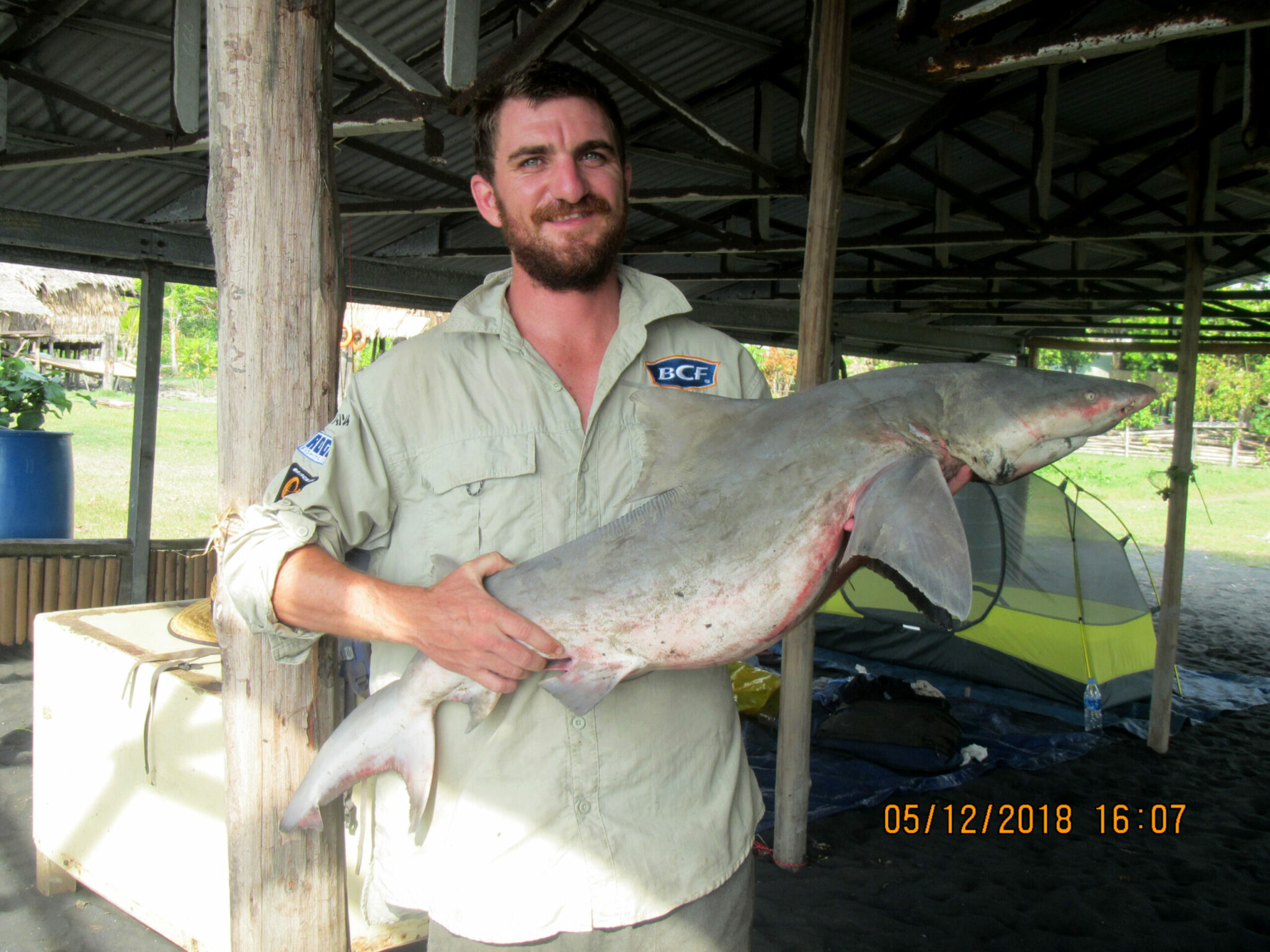 Award winning research tracing habits and habitats of PNG's river ...