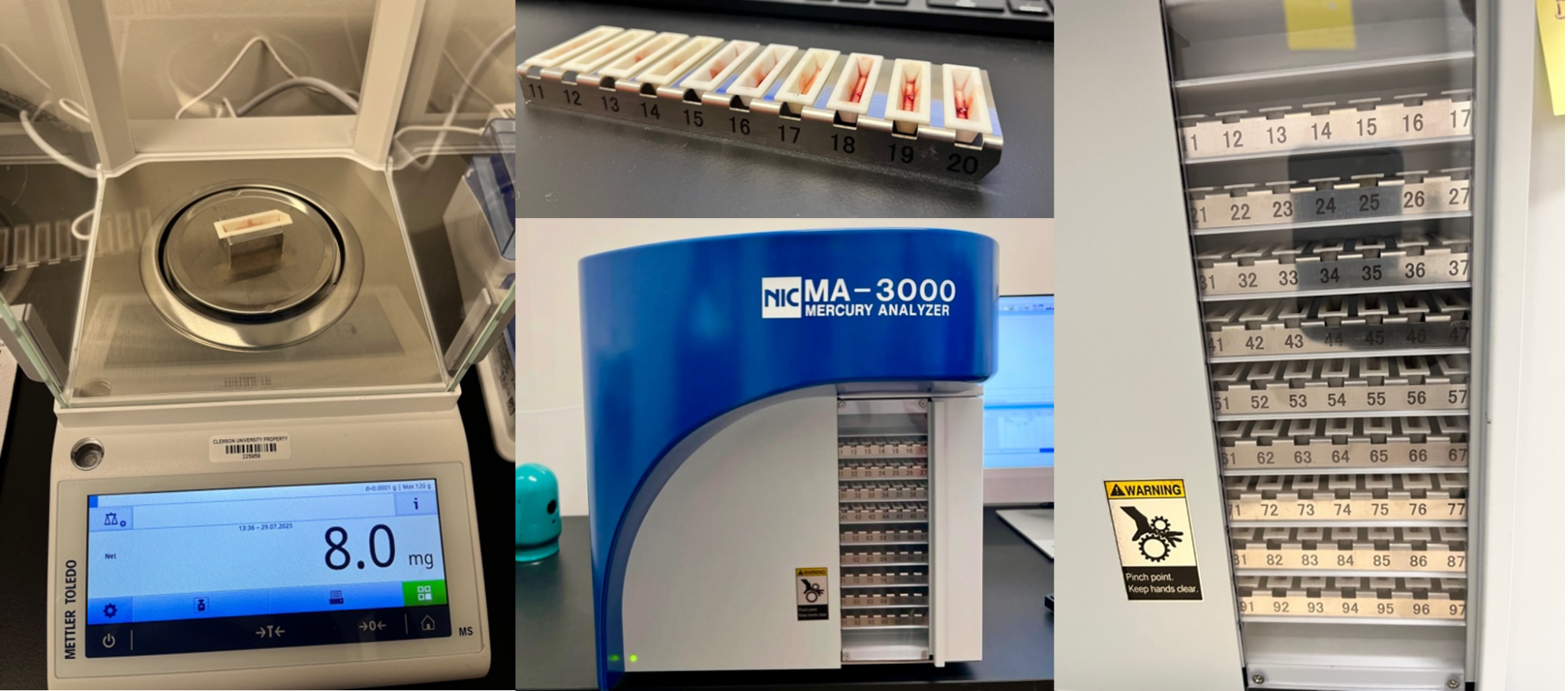 From ocean to analyser: measuring mercury in sevengill and tope sharks ...