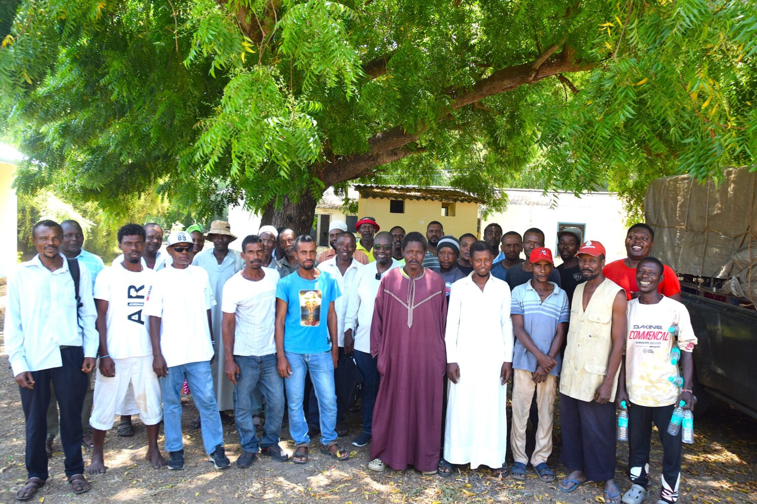 Fishers report declining abundance of sharks and rays from a diversity ...