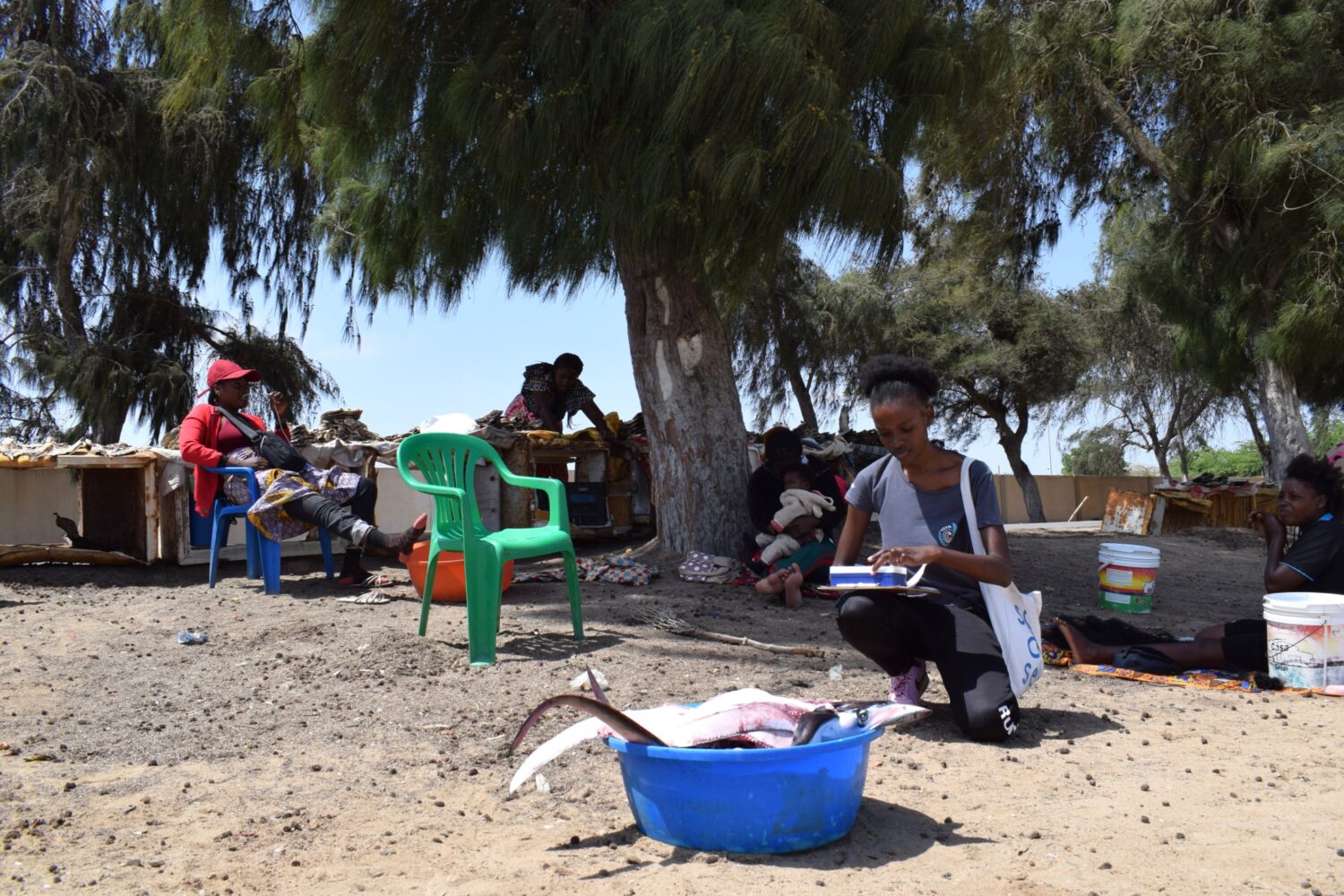 Conservation begins at the landing site: monitoring sharks and rays in ...