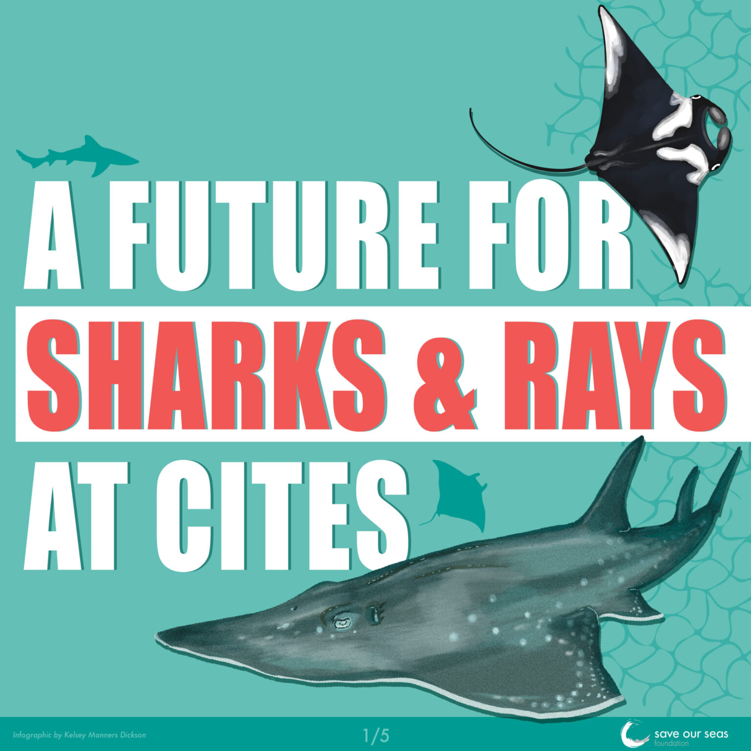 CITES INFOGRAPHIC_SOCIAL MEDIA_SOSF_square final-01-1 - Save Our Seas ...