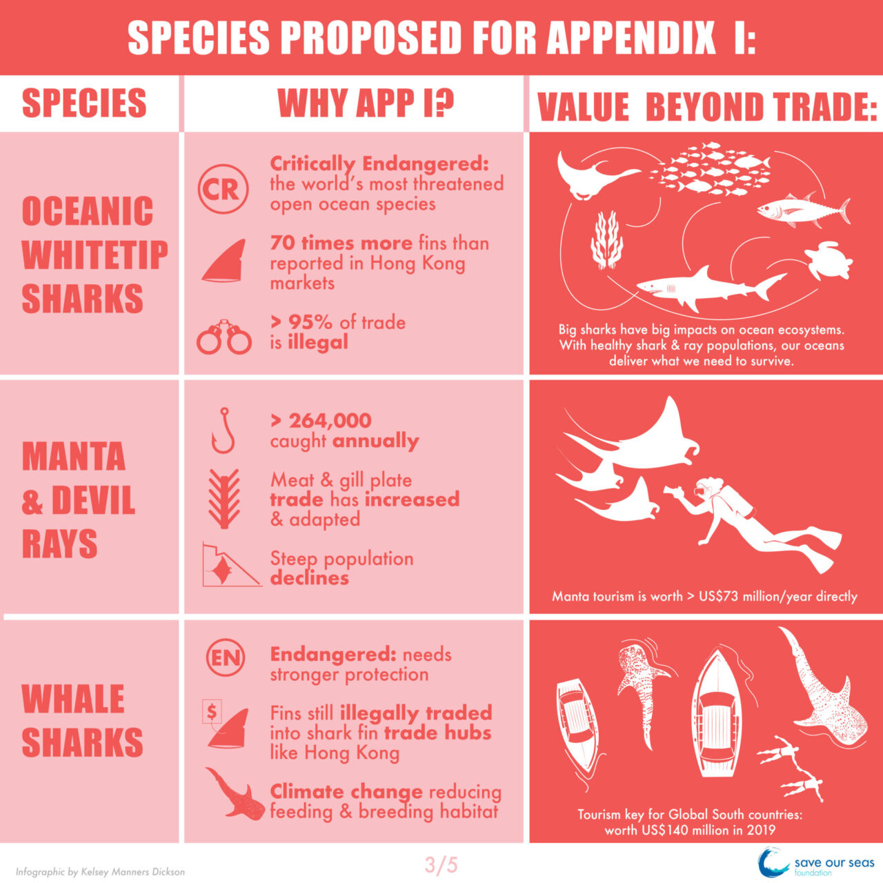 Resounding support for sharks and rays at CITES CoP20 - Save Our Seas ...
