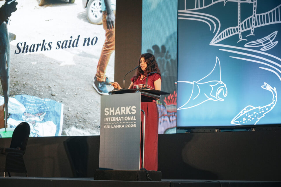 RS55370_Sharks-International_Kelsey-Dickson_SOSF-2026-150 - Save Our ...